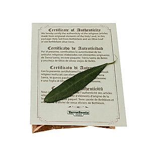 TerraSantaStore Lot of 10 pcs Earth Holy Soil Jerusalem Olive Leaf Certificate Of Authenticity Jerusalem Holy Land Set Gethsemane garden