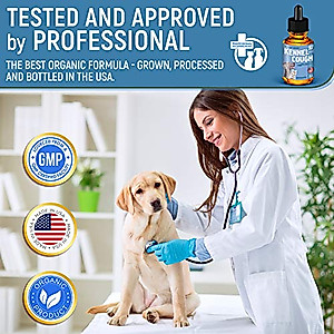 Dog Cough - Kennel Cough - Dog Allergy Relief - Supplements For Dogs & Cats Health - Allergy Relief Immune Supplement for Dogs - for Dry, Wet & Barkly Pet Cough - Suitable For All Sizes