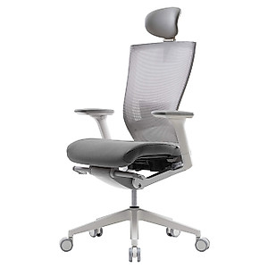 SIDIZ T50 Ergonomic Home Office Chair : High Performance, Adjustable Headrest, 2-Way Lumbar Support, 3-Way Armrest, Forward Tilt, Adjustable Seat Depth, Ventilated Mesh Back, Cushion Seat (Gray)