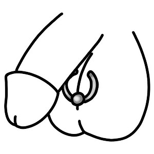 PAIR 00G SPRING LOADED CAPTIVE BEAD RING STEEL BIG GAUGES PRINCE ALBERT JEWELRY Style 88888-1822