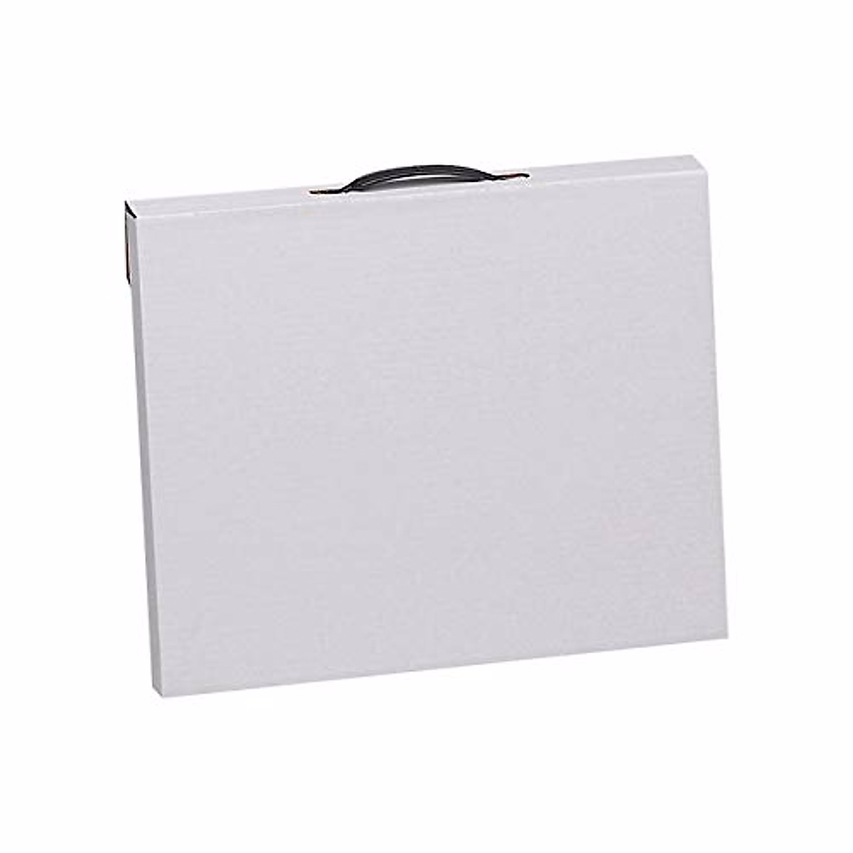 Flipside Art Portfolio Storage Case, Corrugated, 23 x 31 Inches, White - 1398167