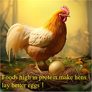 Classic Flock 10.5lb Mealworms - High Protein, Pure Natural, Delicious - Ideal for Chickens, Birds, Ducks, Lizards, Turtles, Fish, and Reptiles, 10lbs Meal Worms