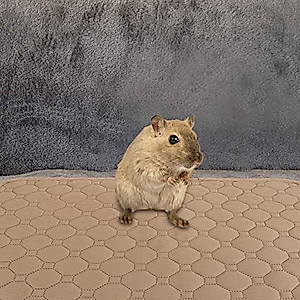 iplusmile Rabbit Household Super Diapers Pad Sleep Bunny Khaki Toilet Animals Guinea Accessory Cushion Cage for Liners Hamster Slip Cm Reusable Chinchilla Pet Pee Accessories