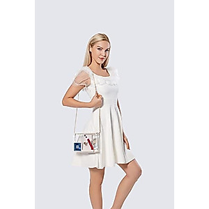 FAIME 3 in 1 Clear Purse for Women Stadium, Cute Clear Crossbody Bag Stadium Approved, Small Clear Clutch Purse, Transparent Party Clear Handbag for Sports, Concert, Prom (Gold)