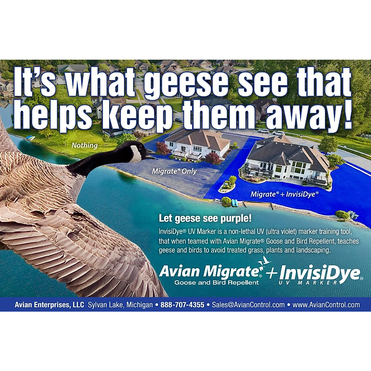 Goose Repellent UV Marker, Goose and Bird Detterent for Avian Migrate, Improves The Longevity of The Avian Migrate, Trains Geese and Birds to Avoid Areas, Invisidye (Two 8 oz Bottles)