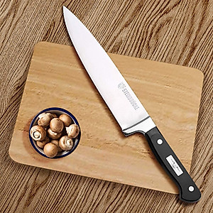 STEINBRÜCKE Chef Knife 10 Inch, Sharp Kitchen Knife Forged from German High Carbon Stainless Steel with Ergonomic Handle and Full Tang, Versatile Cooking Knife for Home Gourmet Restaurant