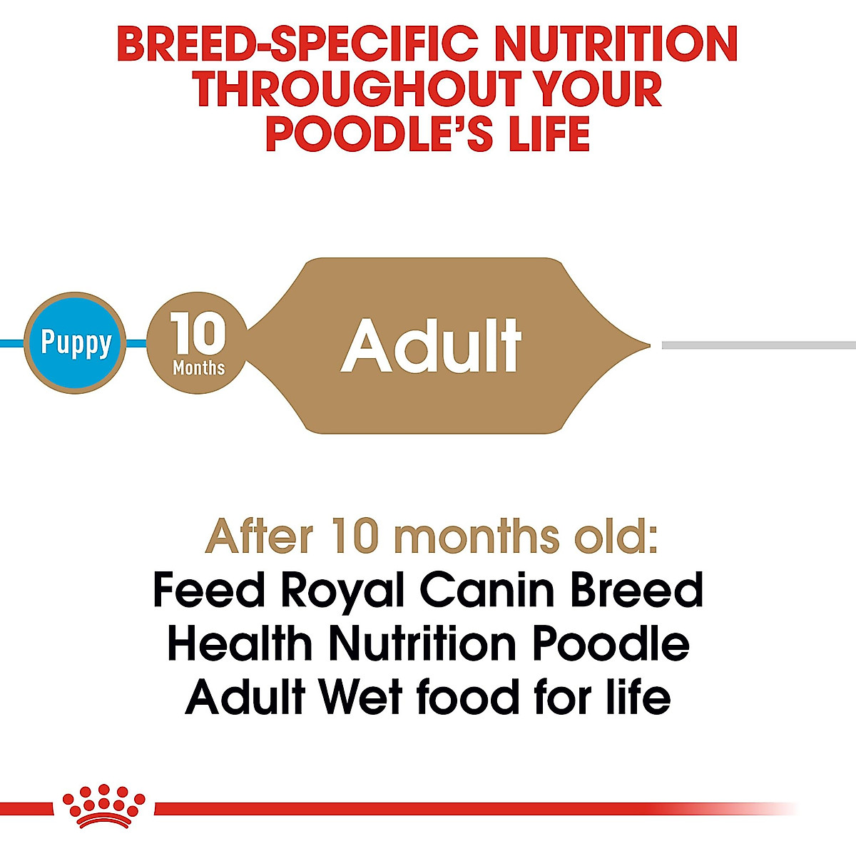 Royal Canin Poodle Adult Breed Specific Wet Dog Food, 3 oz can 4-pack