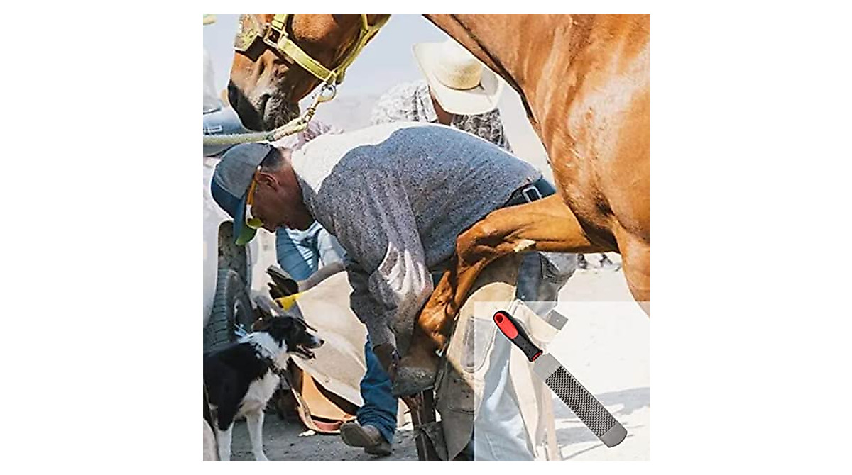 Qlvily 12 Inch Hoof Rasp - Durable Farrier Tool for Animals