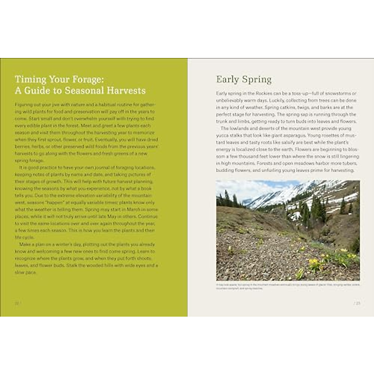 Mountain States Foraging: 115 Wild and Flavorful Edibles from Alpine Sorrel to Wild Hops (Regional Foraging Series)