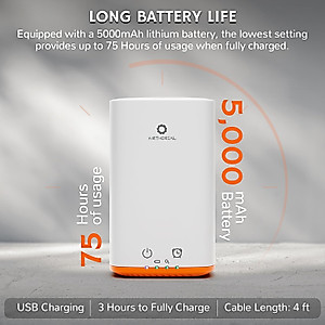 Airthereal PA300-GO Portable Ozone Generator - Cordless Battery Powered Odor Eliminator for Refrigerator, Car, Travelling, Shoe Cabinet, and Other Small Spaces, White 1-Pack