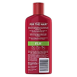 Old Spice Fiji 2in1 Shampoo And Conditioner 12 Fl Oz, 12.000-Fluid Ounce