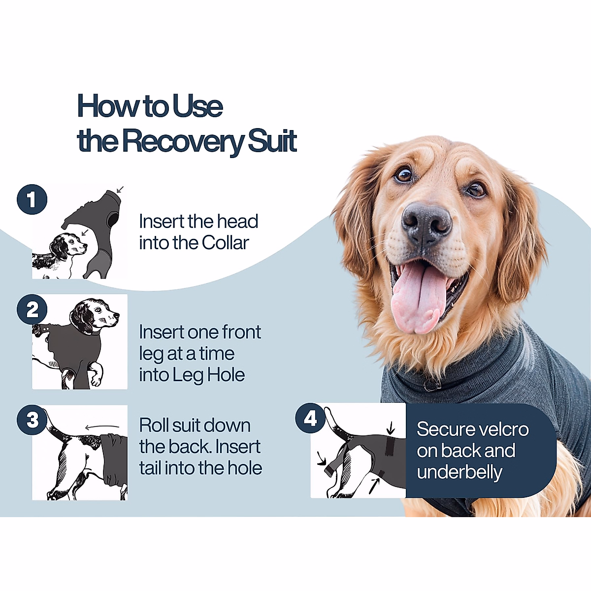 Dog Recovery Suit After Surgery - for Spay Neuter - with Washable Pads - Dog Onesie (Grey Large)