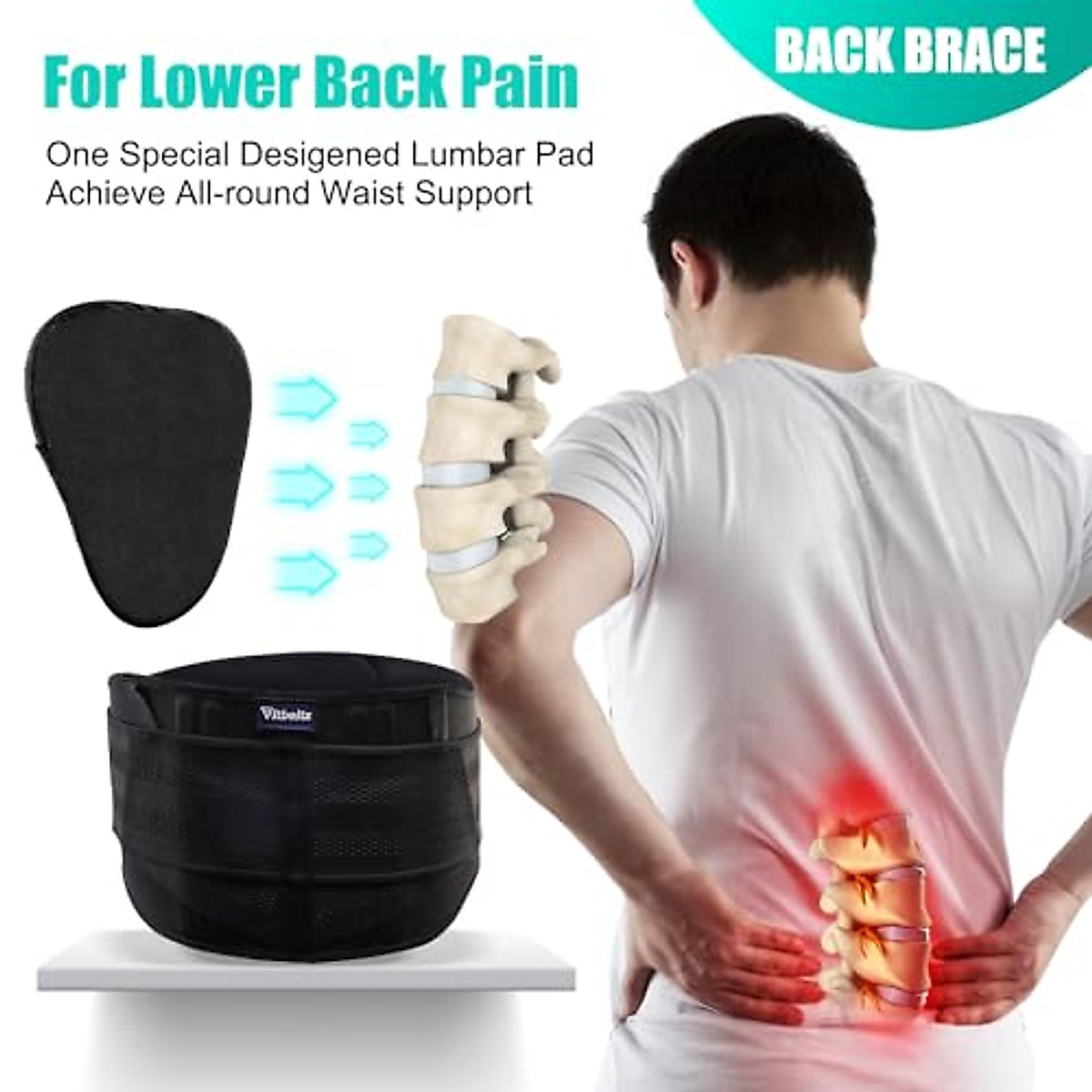 FITBELTZ Back Brace for Men and Women Back Belt for Lower Back Pain Relief, Herniated Disc, Sciatica and Scoliosis, Breathable Mesh and Adjustable Lumbar Lower Back Support Belt