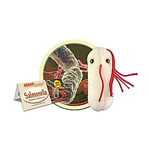 GIANTmicrobes Salmonella Plush -Learn About Food Safety, Bacteria and Gut Health with this Unique Fun Gift for Friends, Families, Teachers, Chefs, Doctors, Gastroenterologists, Students and Scientists