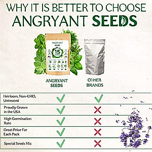 Herb Seeds 15 Variety Pack - Non GMO, Heirloom Seeds for Planting Indoor, Outdoor, and Hydroponic Medicinal Garden - Basil, Cilantro, Mint, Lavender, Rosemary, Dill, Parsley, Thyme, Sage, and More