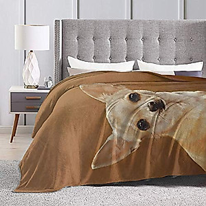 Yulimin Retro Chihuahua Dog Brown Baby Charm Full Fleece Throw Cloak Wearable Blanket Nursery Bedroom Bedding Decor Decorations Queen King Size Flannel Fluffy Plush Soft Cozy Comforter Quilt