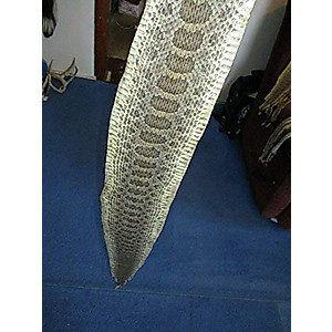 Rattlesnake Skin Prairie Rattler Hide Dry Tanned Bow Wrap Pen Blanks 44"