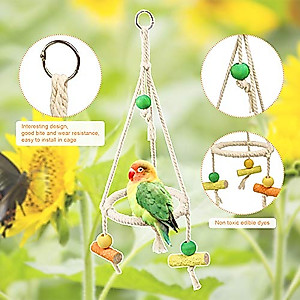 Bird Perch Stand Parrot Rope Swing Hanging Toy,Circle Ring Parakeet Perch Swing Toys&Bird Platform Parrot Stand Playground for Budgie Conure Finches Lovebird Cockatiel Cockatoo Exercise Toys (H01)