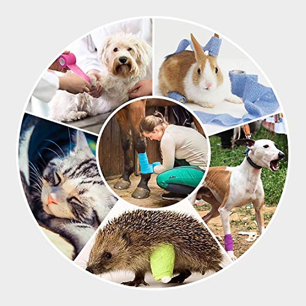 WePet Pet Wrap, Self-Adhesive Non-Woven Tape for Dog Legs, Paws, Wounds, First Aid Cohesive Gauze for Horse, Cat, Bird, Animal, 3 Rolls, 4 Inch