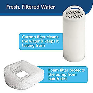 PetSafe Stainless 360 Pet Fountain - 1 Gallon (128 oz) Dog and Cat Water Fountain - Water Filters Remove Hair - Water Dispenser Entices Pets to Drink - Customizable Cat and Dog Water Bowl Dispenser