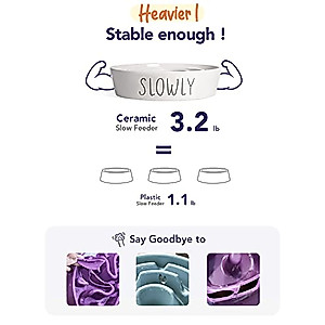 LE TAUCI PET Dog Slow Feeder Bowl Ceramic, Puzzle Dog Food Bowl for Small Medium Large Breed, Puppy Slow Feeder Bowl for Fast Eater, Dog Bowls to Slow Down Eating, Maze Bowl, Pet Bowl