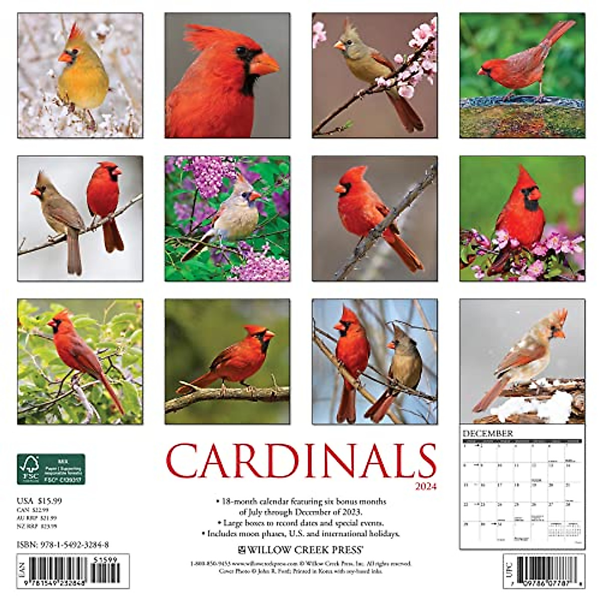 Willow Creek Press Cardinals 2024 12" x 12" Wall Calendar