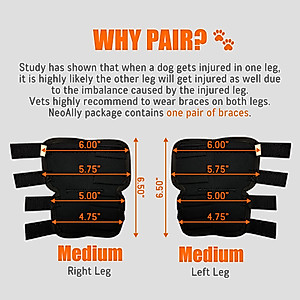 NeoAlly® - Rear Leg Hock Brace, Dog Leg Brace for Rear Leg, Hock & Ankle Support for Large Dogs, Dog Brace for Torn Acl and Ccl, Long Version, Medium, 1 Pair