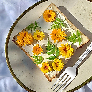 Salad Forks Set of 12, LIANYU 6.7 Inches Stainless Steel Forks Silverware, Appetizer Dessert Forks with Scalloped Edge, Cutlery Flatware Forks for Home Restaurant, Dishwasher Safe