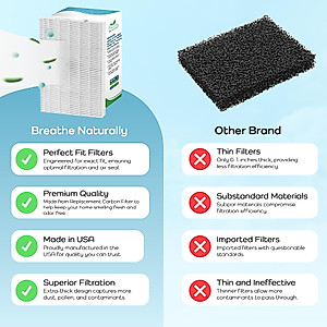 Breathe Naturally Replacement Filters Compatible with Winix C535, Plasmawave 5300, 6300 and Aeramax 300/290 Air Purifiers - True HEPA Filters for Home Purifiers - 12.6" x 16.3" x 1.25" (1 HEPA Filter)