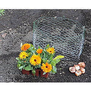 The Original RootGuardTM Heavy Duty Gopher Wire Baskets (12 3-Gallon Baskets)