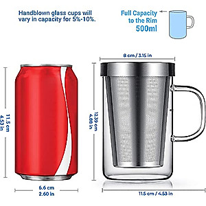 Ecooe 16.9 Oz Borosilicate Glass Tea Mug Cup Tea Glasses with Stainless Steel Infuser & Lid, Loose Leaf Glass Tea Cup Teacup 500mL