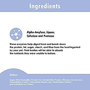 SynerG Digestive Enzymes (200 Tablets)