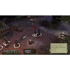 Wasteland 2: Director's Cut (Nintendo Switch)