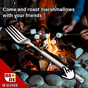 Chazcool Extendable Fork, Telescoping Fork, Extended Fork, Stainless Steel Retractable Fork, Fork Extender Long Fork, Extending Fork for Eating Dinner Fruit Dessert BBQ 8.7 to 25.4 Inch (1 pcs)