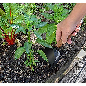 Olmsted Forge Garden Tool Set, 5 Pieces, Heavy Duty Powder Coated Steel, Cork Handle