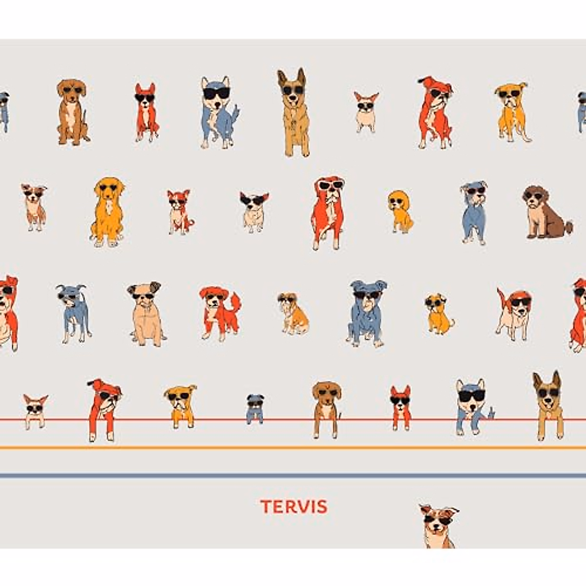 Tervis Venture Water Bottle Dog Paws and Shades Triple Walled Insulated Tumbler Travel Cup Keeps Drinks Cold & Hot, 26oz, Stainless Steel