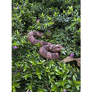 HOHAJIU Fake Snake Toy Realistic Rubber Snake Toy 10.3" Rattlesnake Figurine Scare Birds, Prank Props for Halloween Party, Gag Gift for April Fool's Day