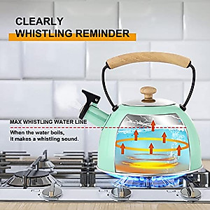 HRHongRui Stove Top Whistling Tea Kettle 304 Stainless Steel Teakettle Teapot with Ergonomic Wood Handle 3.2 Quart /3 Liter Green