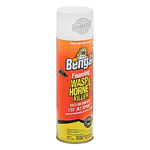 Bengal Foaming Wasp and Hornet Killer – Long Range Wasp & Hornet Spray with Foam Trapping Action – Non-Staining Outdoor Long Distance Foaming Wasp Spray – Kills on Contact, 18oz, 1-Pack