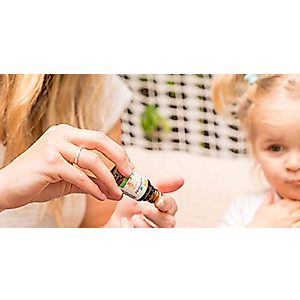 Wellements Organic Baby Tooth Oil, Gently Soothes Tiny Gums, Natural Teething Oil for Babies, Blend of Clove Oil, Spearmint Leaf & Olive Oil, No Benzocaine or Belladonna, 0.5 Fl Oz. 4 Months +
