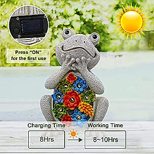 Nacome Solar Garden Statue Frog Figurine with Succulent and 7 LED Lights - Outdoor Lawn Decor Garden Frog Statue for Patio, Balcony, Yard, Lawn Ornament