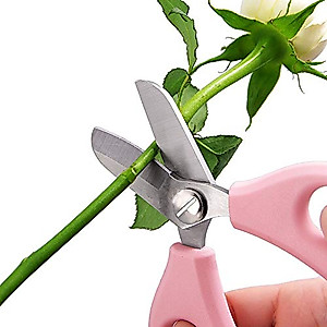 Stainless Steel Garden Florist Pruning Shears Gardening Handle Scissors Grafting Tool Branch Floral Bonsai Trimming Scissor