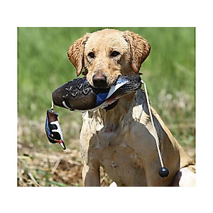 HUNTARMOR Duck Dummy Bumper Toy: Bird Training Dummy for Training Hunting Dogs, Mimics Dead Duck Bumper Toy for Waterfowl Hunting Retriever Dog Training, Dog Bumper Hunting Dog Accessories