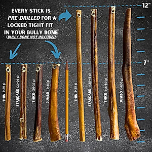 Mighty Chewz 7" Standard Bully Sticks 5 Pack Refill - No Choking/All Natural Pizzle Sticks