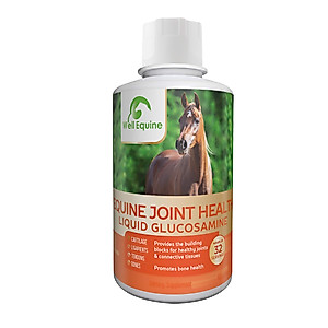 Equine Joint Health Supplement | Liquid Horse Glucosamine with MSM, Chondroitin and Hyaluronic Acid | Highly Effective Liquid Horse Joint Supplement | 1qt