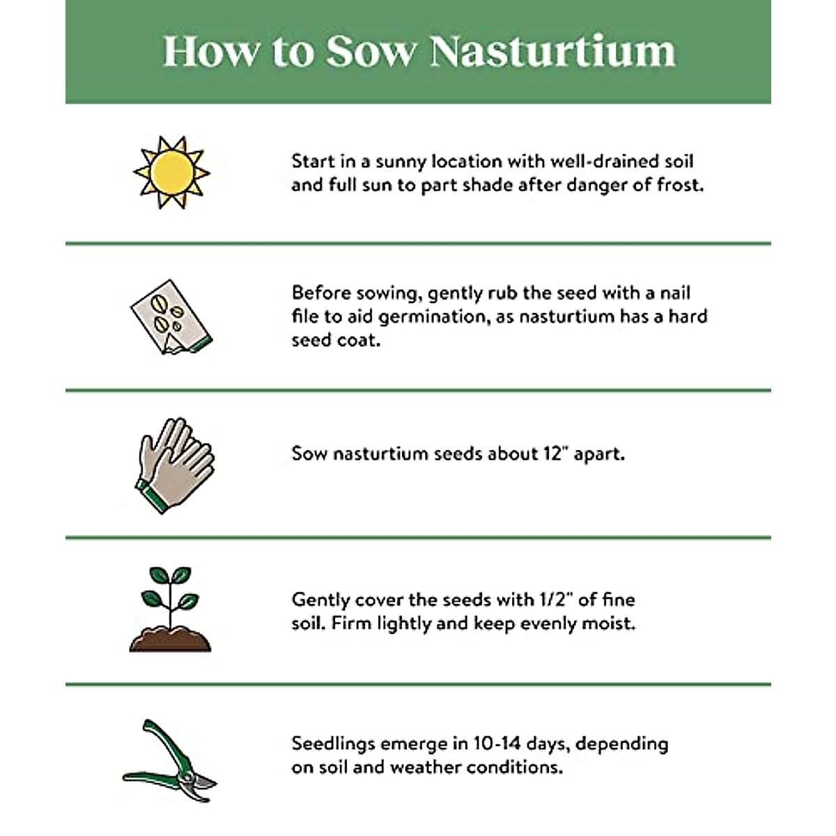 Burpee Alaska Mix Nasturtium Seeds 125 seeds