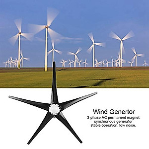 800W Windmill Generator, 5 Blade Small Wind Turbines Kit Industrial Energy Equipment (Black 12V)