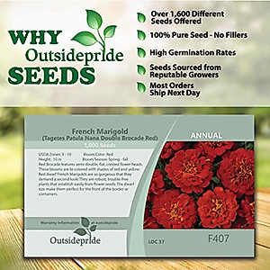 Outsidepride Tagetes Patula Red French Marigold Plant Garden Flowers for Pots, Containers, Window Boxes - 2000 Seeds