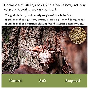 Tfwadmx Cork Tile Terrarium Background Reptile Bark Backdrop Wall Decor 3D Bearded Dragon Tank Climbing Mat Decoration for Gecko Lizard Tortoise Chameleon (2 Pack)