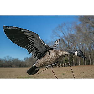 Higdon Outdoors Clone Canada Goose Flapping Motion Decoy with Adjustable Wing Speed